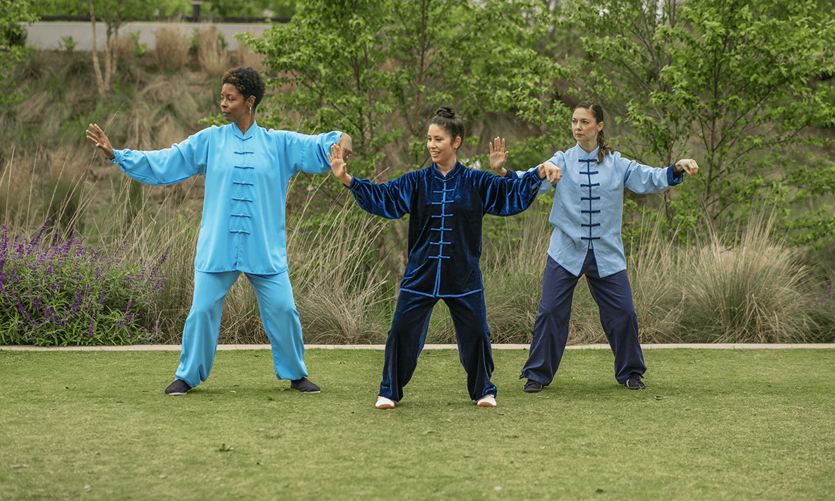 Tai Chi for Health and Longevity - Blue Dragon Tai Chi