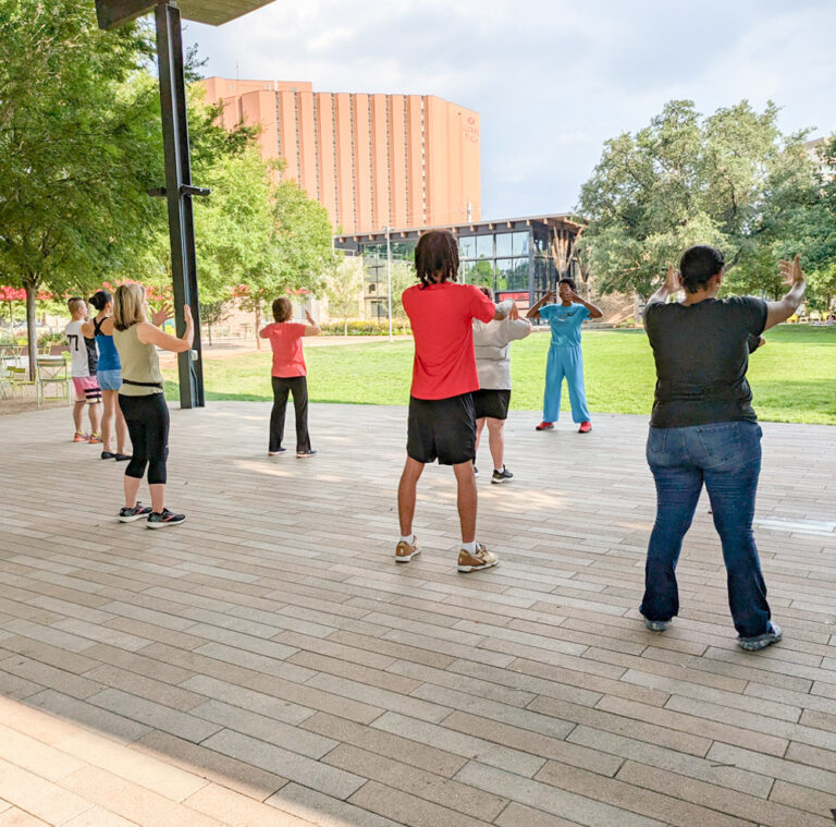 Tai Chi for Health and Longevity - Blue Dragon Tai Chi