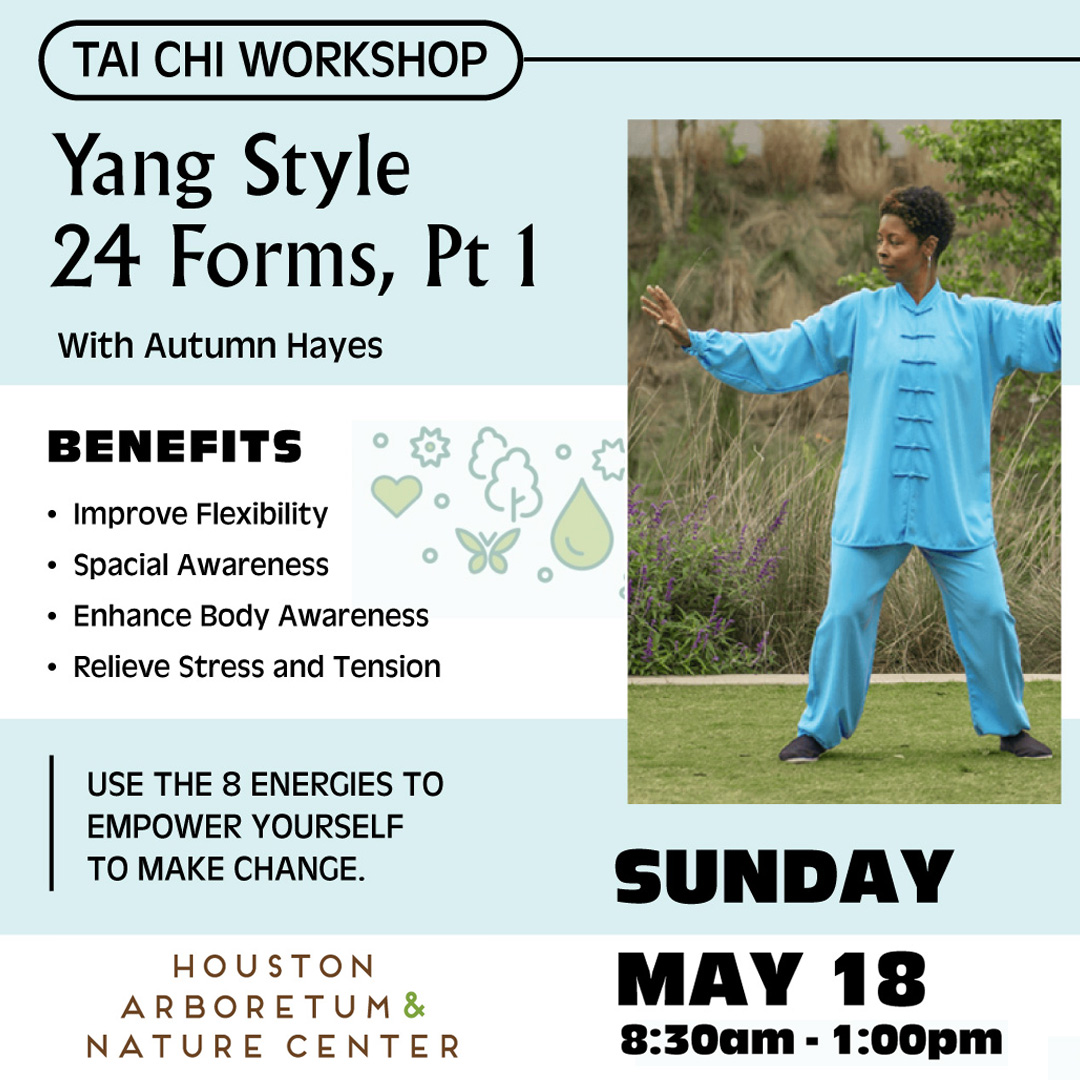 Tai Chi Workshop on May 18th: 24 Forms of Yang Style - Blue Dragon Tai Chi